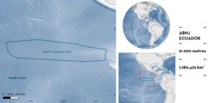 Pacific Equatorial Front ISRA - Important Shark Ray Areas