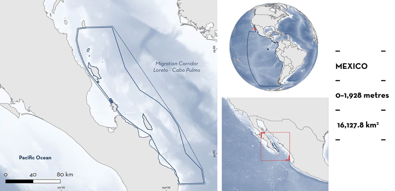 Migration Corridor Loreto-Cabo Pulmo ISRA - Important Shark Ray Areas