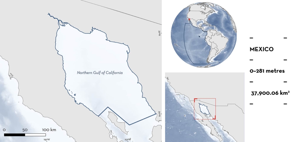 Northern Gulf of California ISRA - Important Shark Ray Areas
