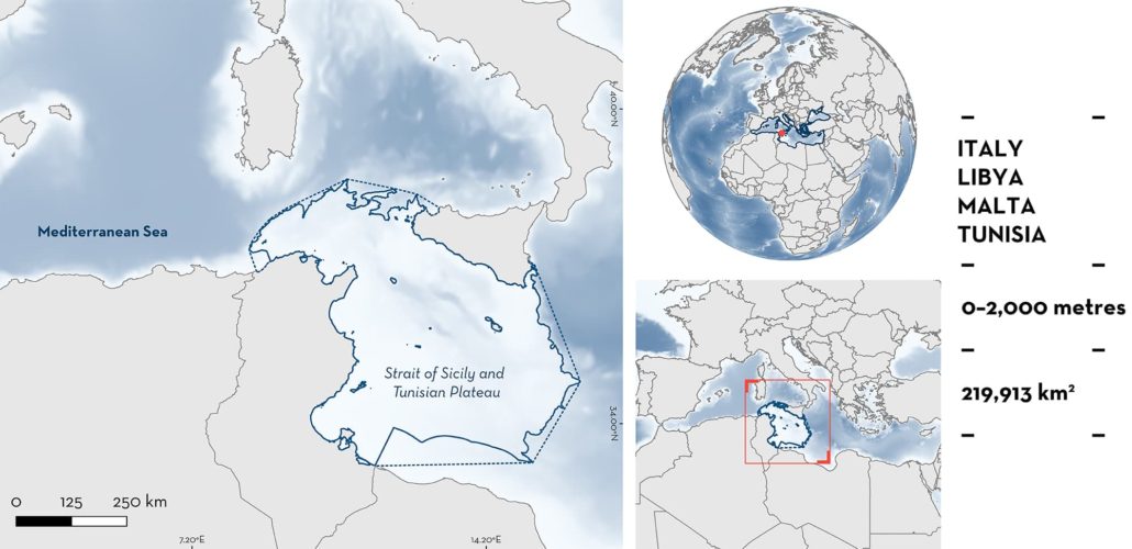 Strait of Sicily and Tunisian Plateau ISRA - Important Shark Ray Areas