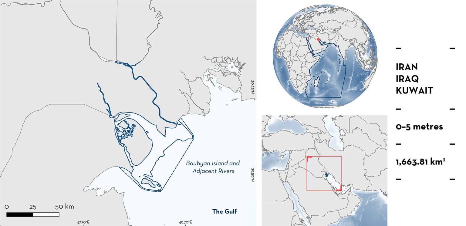 Boubyan Island and Adjacent Rivers ISRA - Important Shark Ray Areas