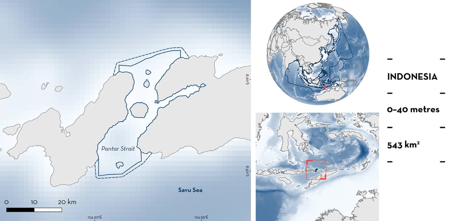 Pantar Strait ISRA - Important Shark Ray Areas