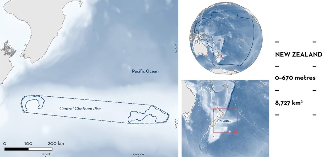 Central Chatham Rise ISRA - Important Shark Ray Areas
