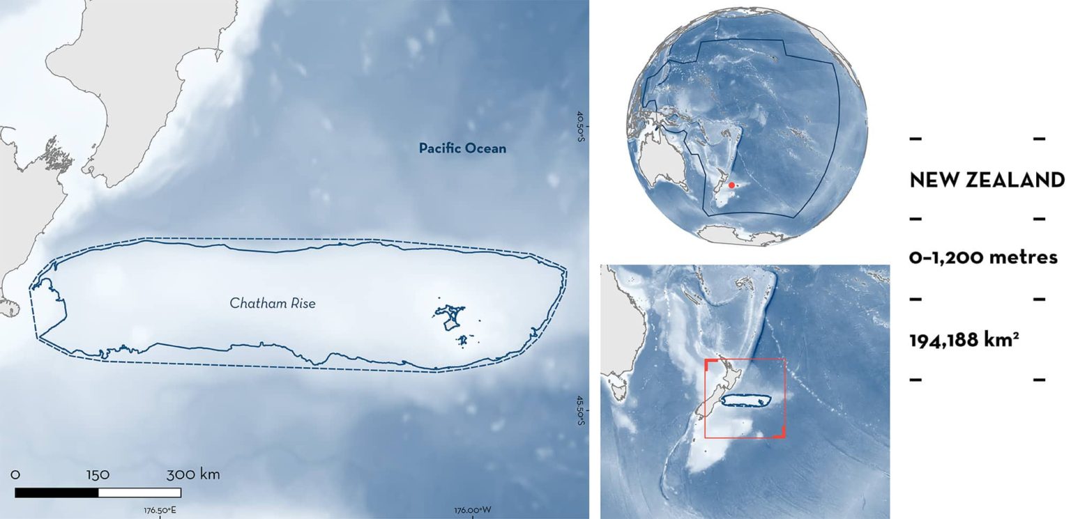 Chatham Rise ISRA - Important Shark Ray Areas