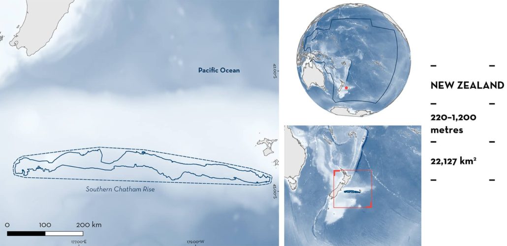 Southern Chatham Rise ISRA - Important Shark Ray Areas