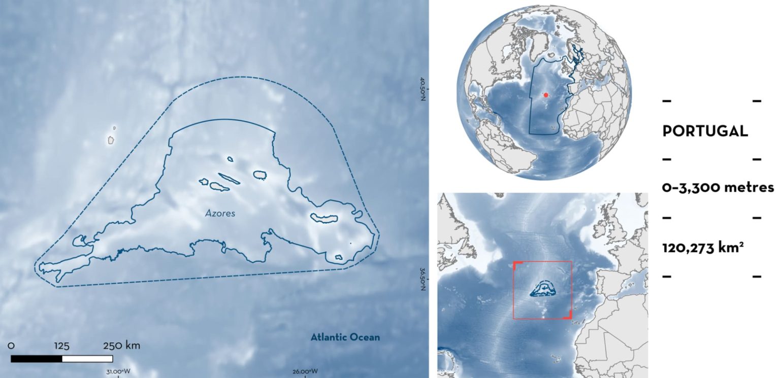Azores ISRA - Important Shark Ray Areas