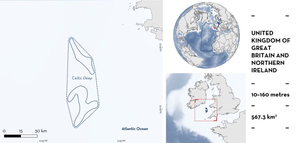 Celtic Deep ISRA - Important Shark Ray Areas