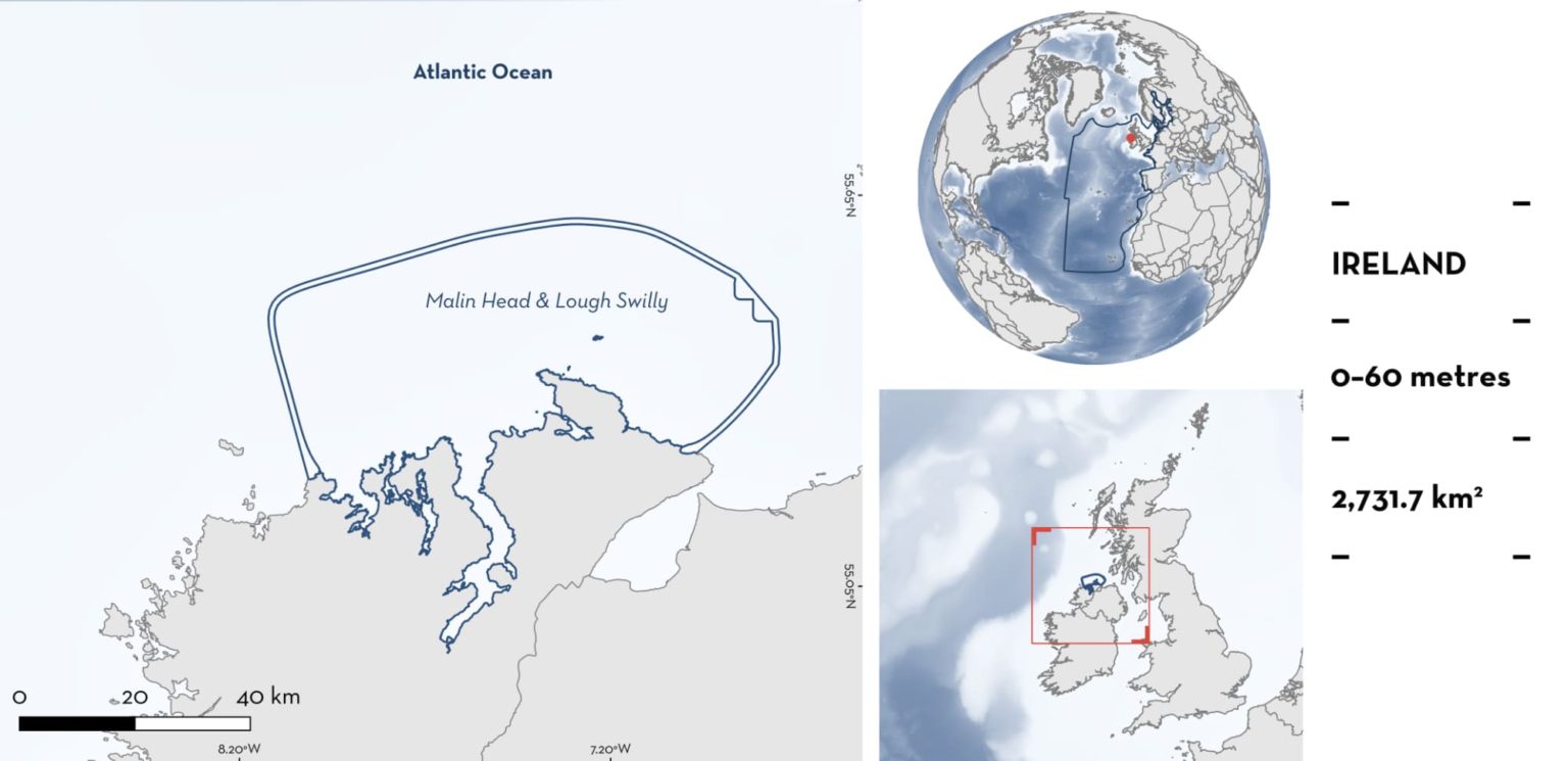 Malin Head & Lough Swilly ISRA - Important Shark Ray Areas