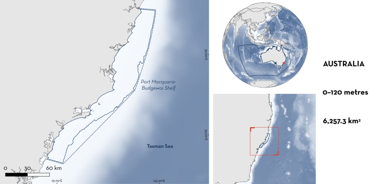 Port Macquarie–Budgewoi Shelf ISRA - Important Shark Ray Areas